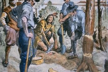 Home - Plymouth Rock Foundation